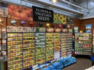 How To Start Seeds Indoors | Easy Steps For Starting Seeds Indoors