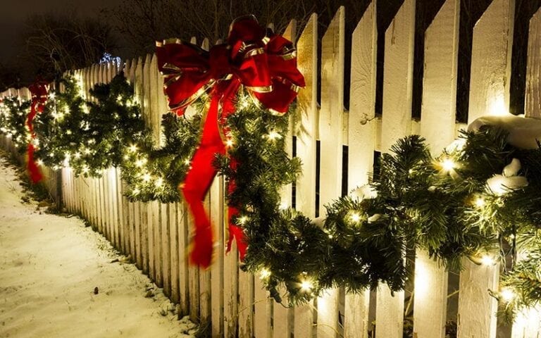 Outdoor Christmas Decorations | Hicks Nurseries