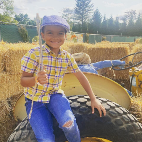 Fall Festival Instagram contest - Hicks Nurseries