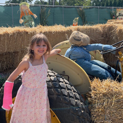 Fall Festival Instagram contest - Hicks Nurseries