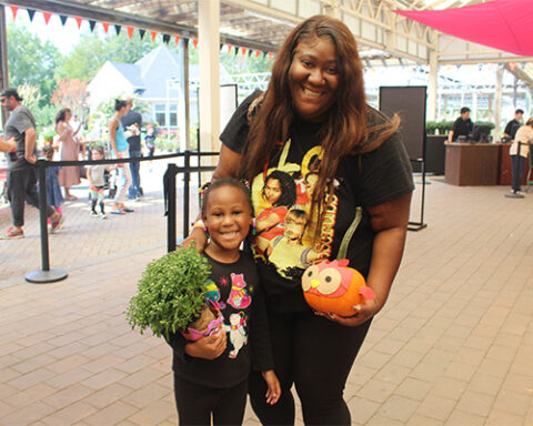 Fall Plants and Decorations - Hicks Nurseries