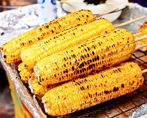 Fall at Hicks - Hicks Nurseries