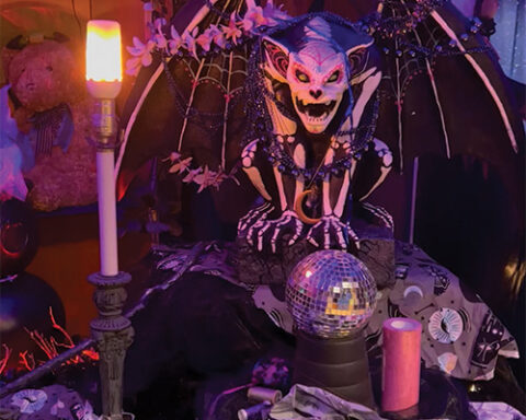 Fall at Hicks - Hicks Nurseries