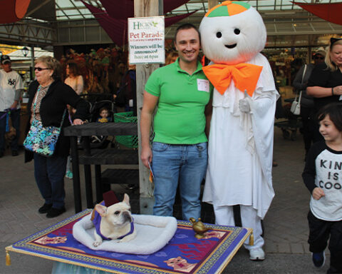 Fall at Hicks - Hicks Nurseries