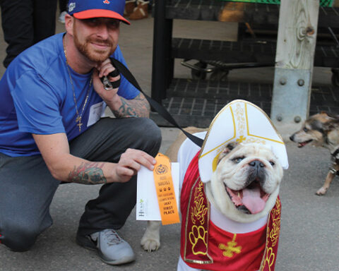 Fall at Hicks - Hicks Nurseries
