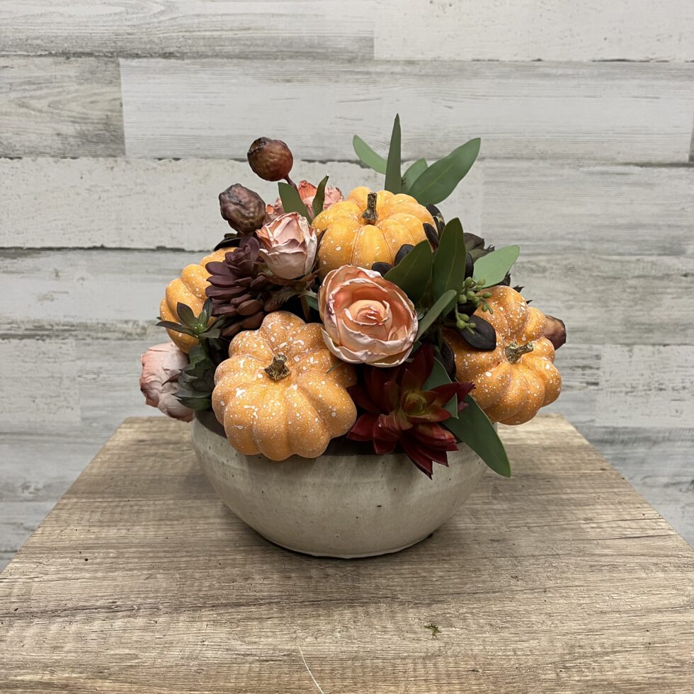 Our Special Offers | Hicks Nurseries | Long Island NY