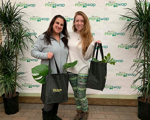 Plant Swap - Hicks Nurseries