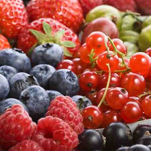 Grow Your Own Fruit Garden | Fruit Trees & Berry Bushes