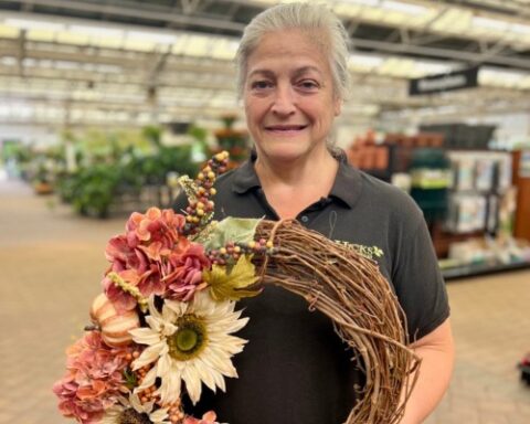 Fall Plants and Decorations - Hicks Nurseries